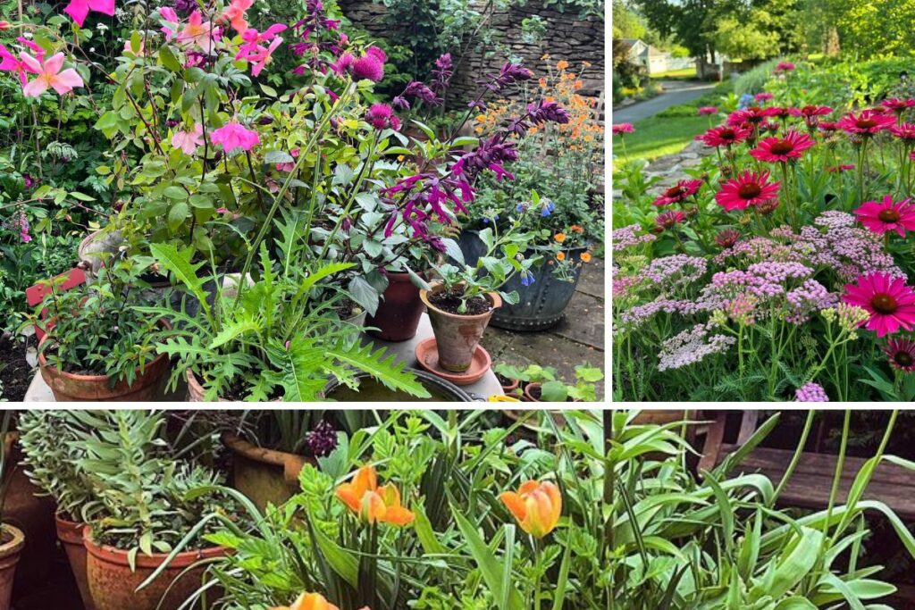 10 Exquisite Ideas for the Ultimate Cut Flower Garden - SheBonny